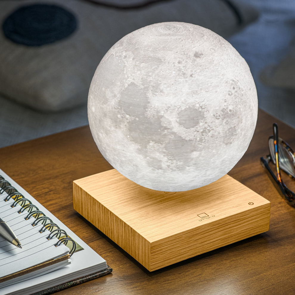 The Smart Gingko Moon Lamp – ShopGreenToday